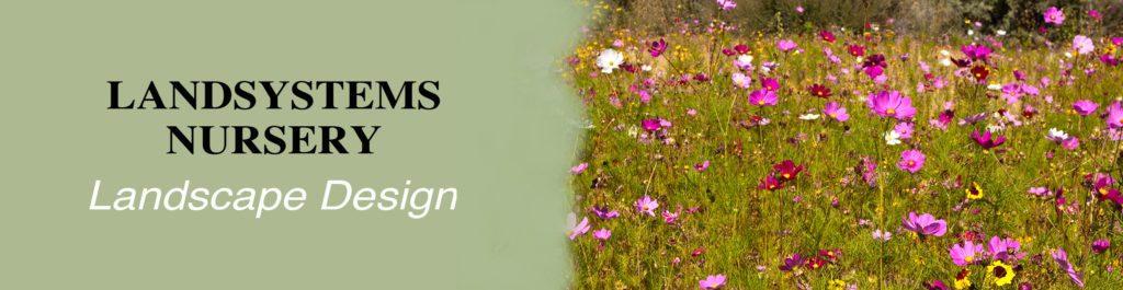 Landscape Design | Landsystems